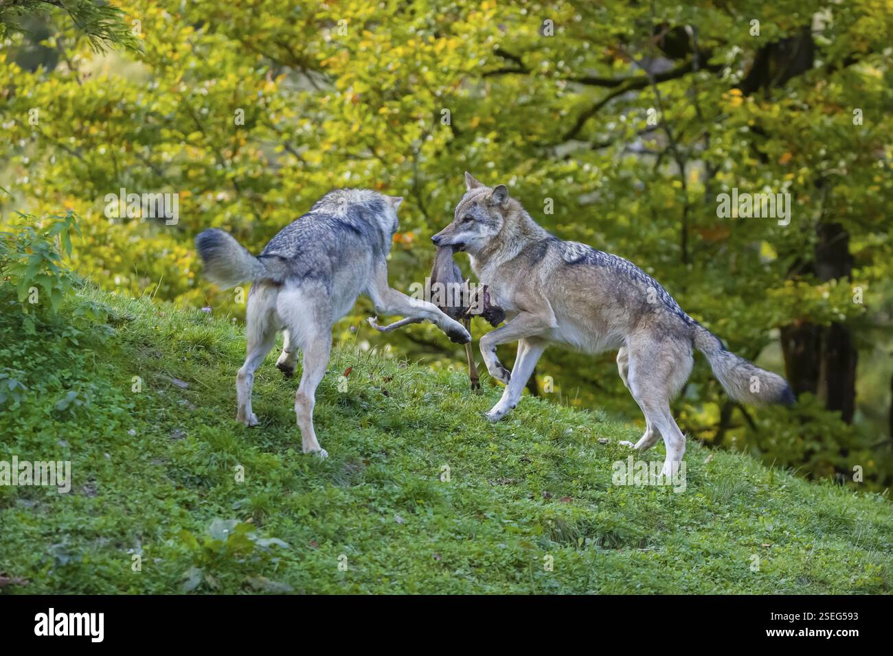 Quarrels hill hi-res stock photography and images - Alamy