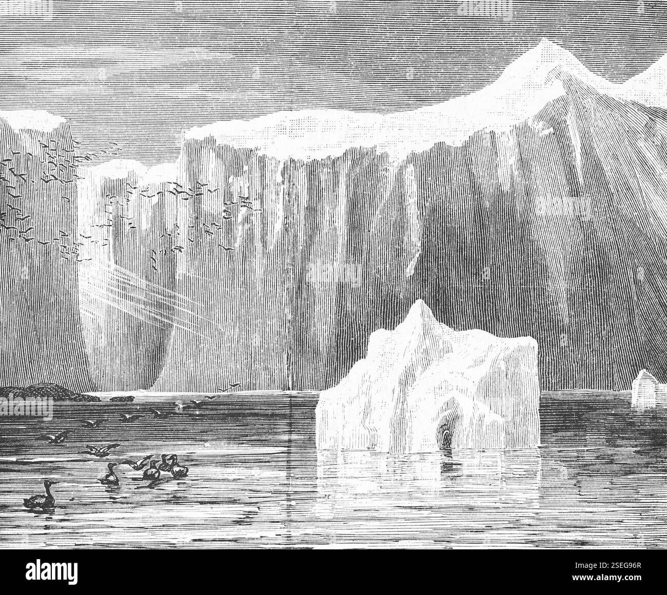 Icebergs floating in the Labrador Sea south of Greenland, ducks and ...
