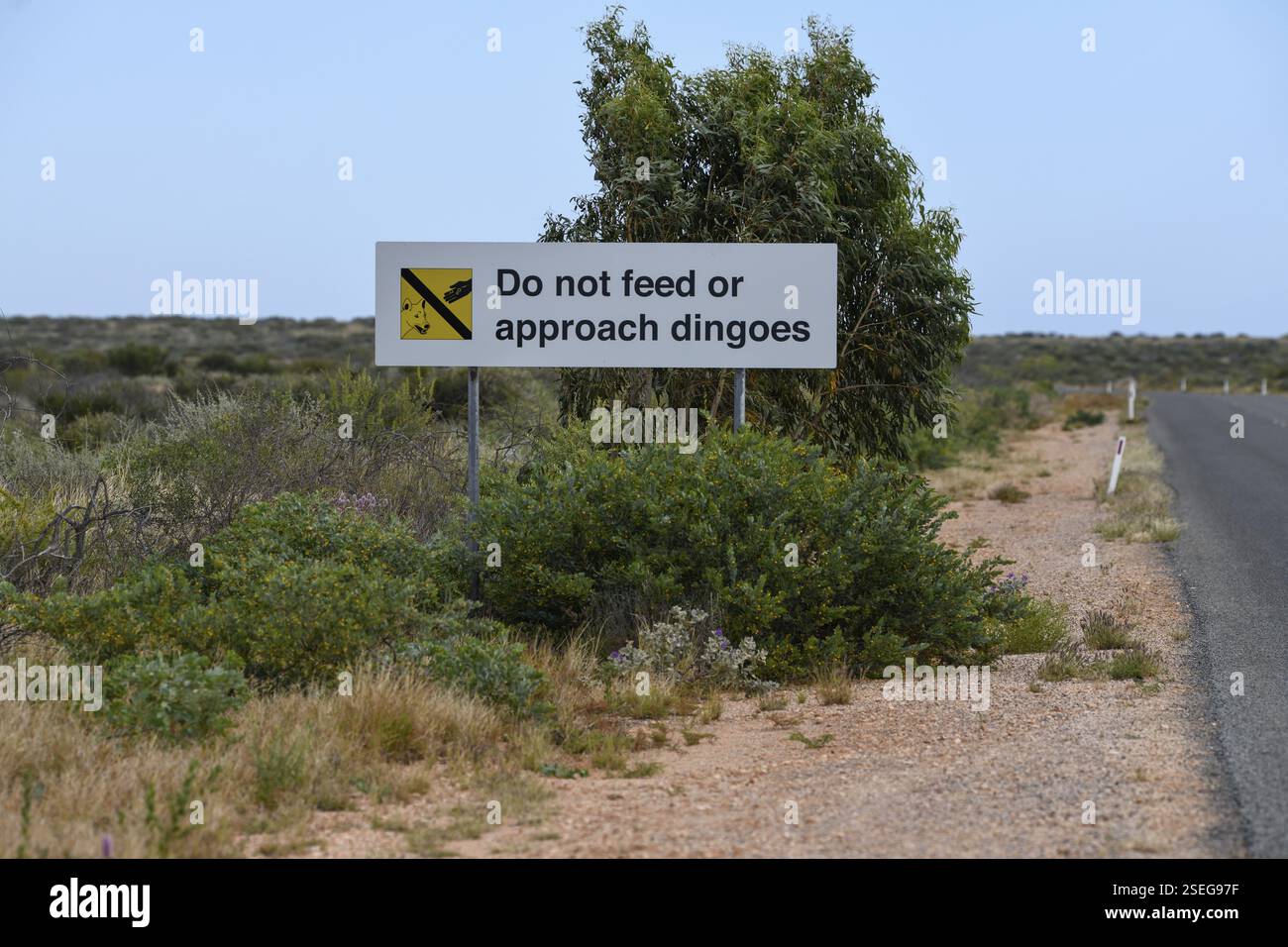 Beware of dingoes sign, near Exmouth, State of Western Australia ...