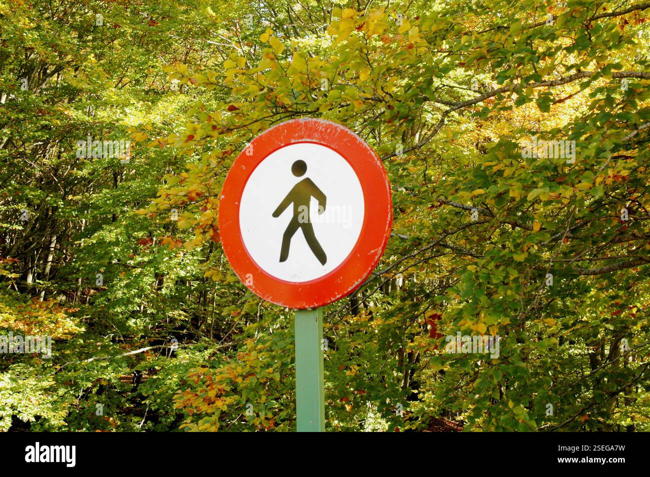 Señal prohibido no hi-res stock photography and images - Alamy