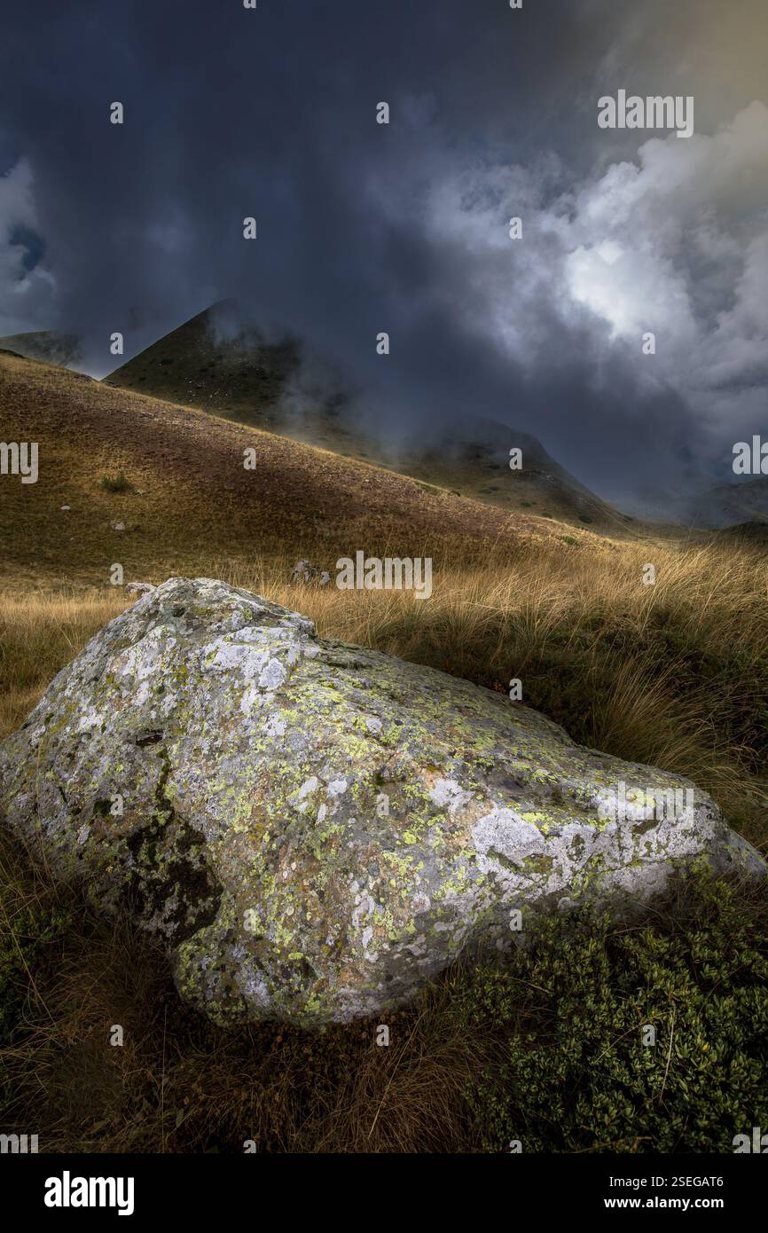 Beautiful vertical nature background hi-res stock photography and ...