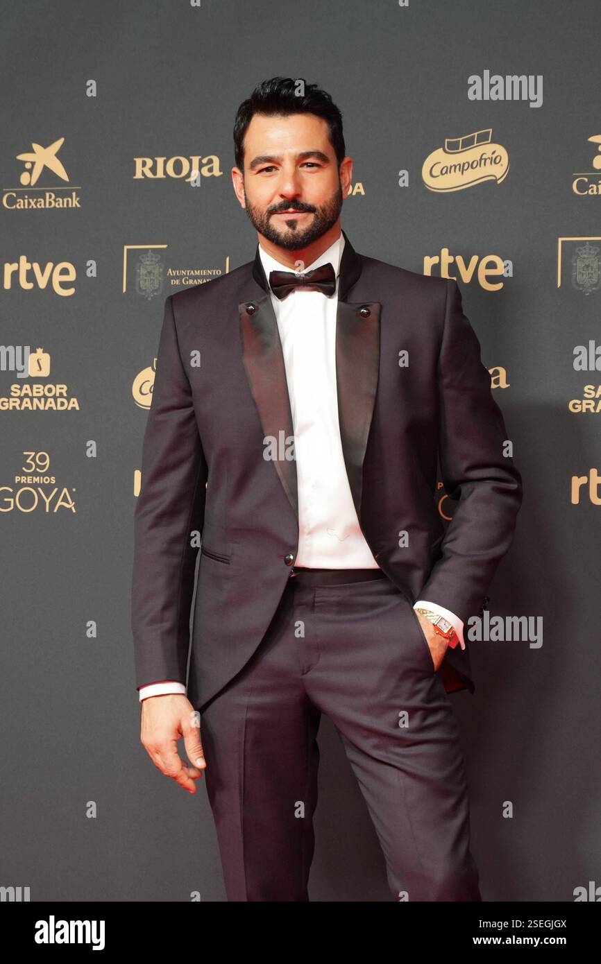 Granada, Spain. 08th Feb, 2025. Actor Antonio Velazquez at photocall ...