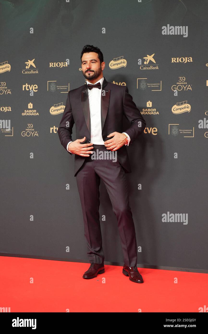 Granada, Spain. 08th Feb, 2025. Actor Antonio Velazquez at photocall ...