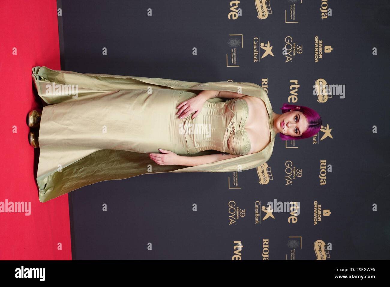 8/02/2025-Granada-Spain dora postigo attends 39th Goya Awards - Red ...