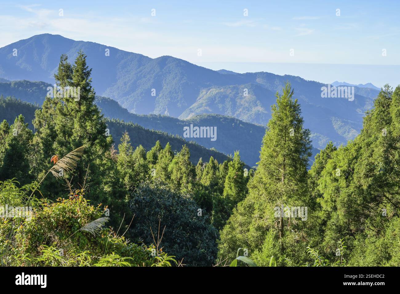 Mountain landscape, low mountain range in Alishan Township, Chiayi ...
