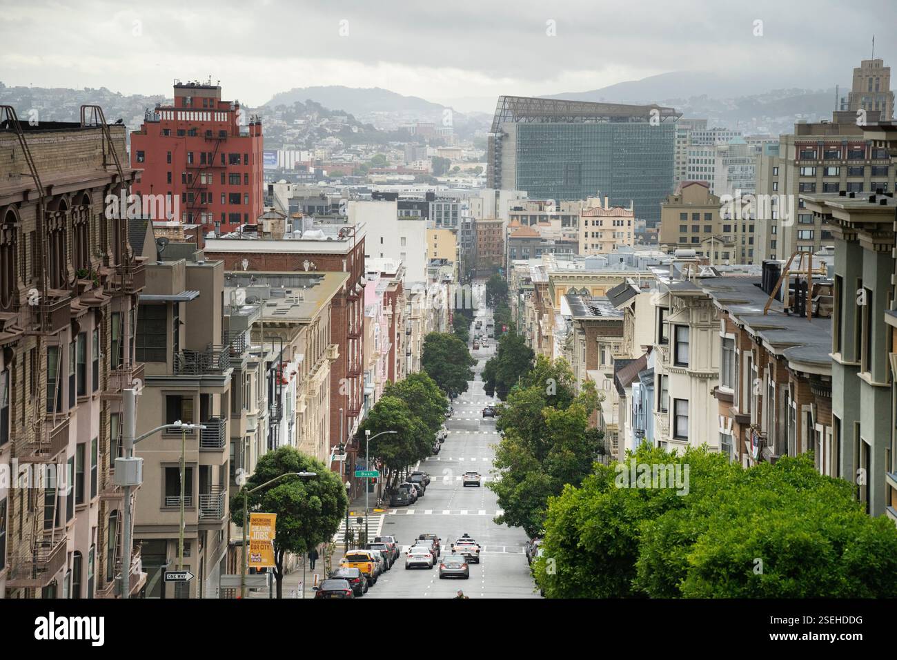 View of Bush Street, San Francisco, CA. Cars travel down the street ...