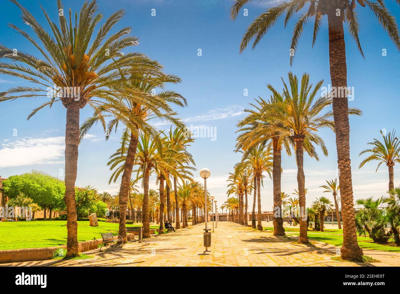 Palma de Majorca, Spain Stock Photo - Alamy