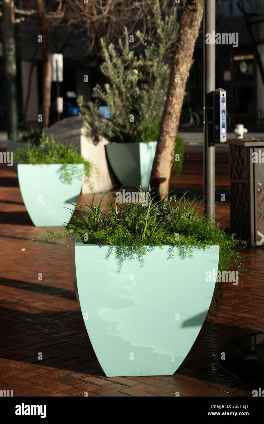 Mint-green planters with greenery at the Portland, OR, Pioneer ...