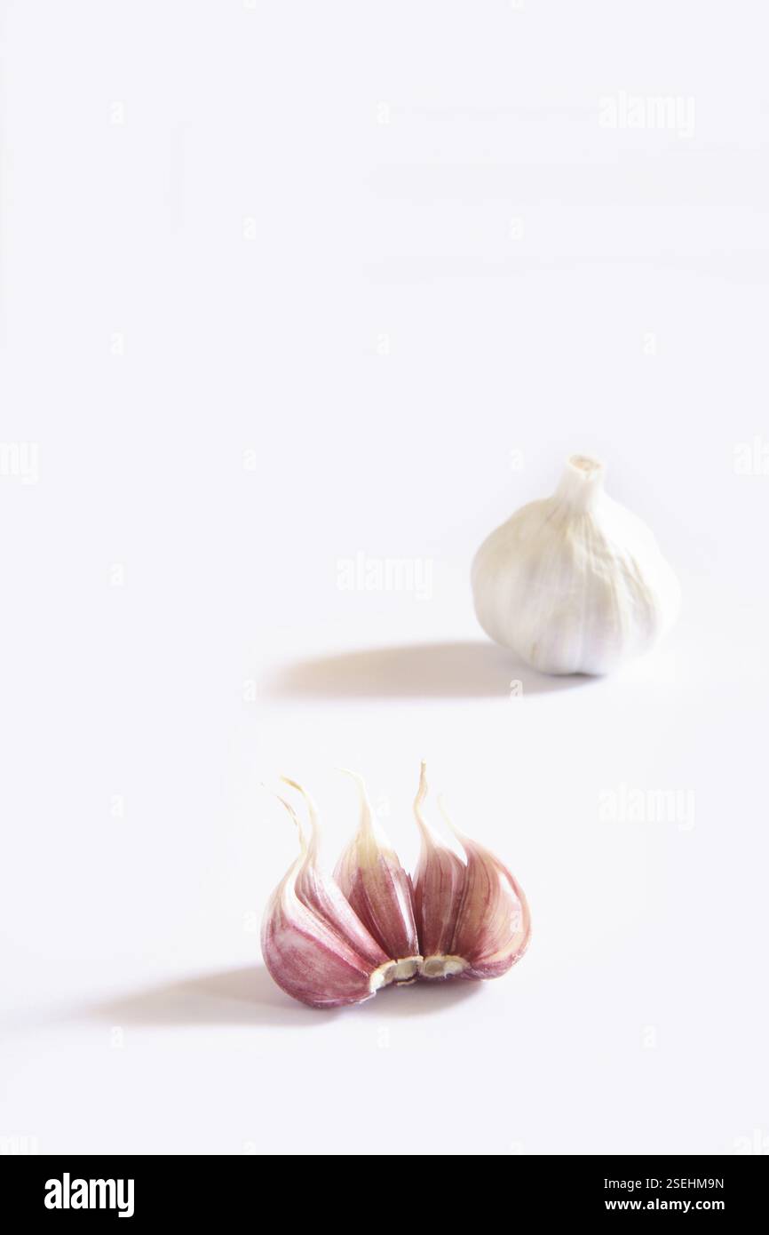 Indian spice, Garlic bulbs and cloves Lahsun Allium sativum on white ...