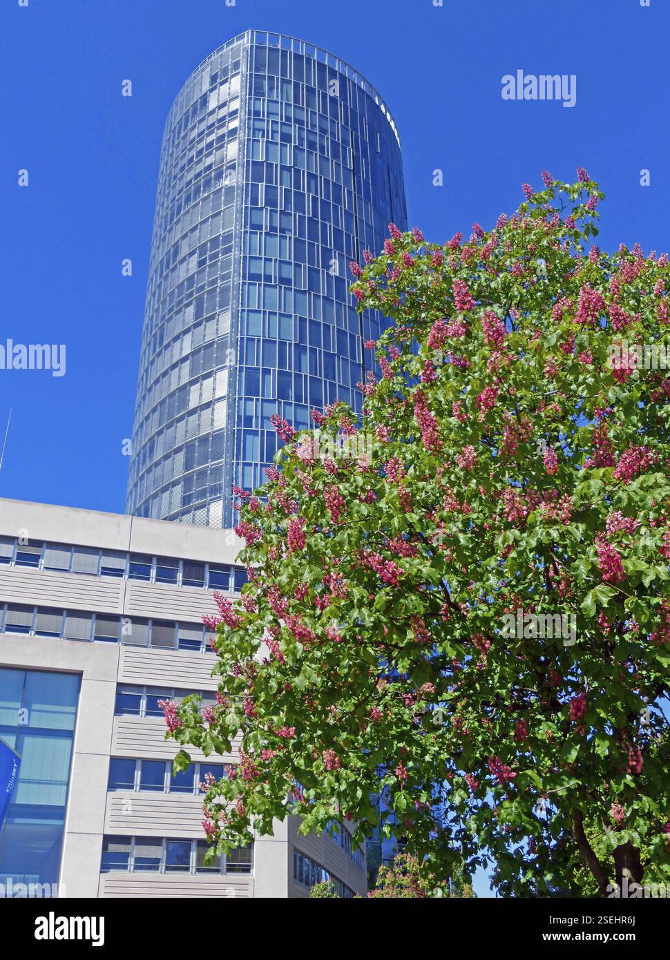 Cologne, Triangle, skyscraper Stock Photo - Alamy
