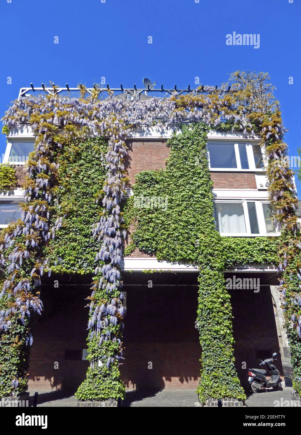 Residential building, vegetation Stock Photo - Alamy