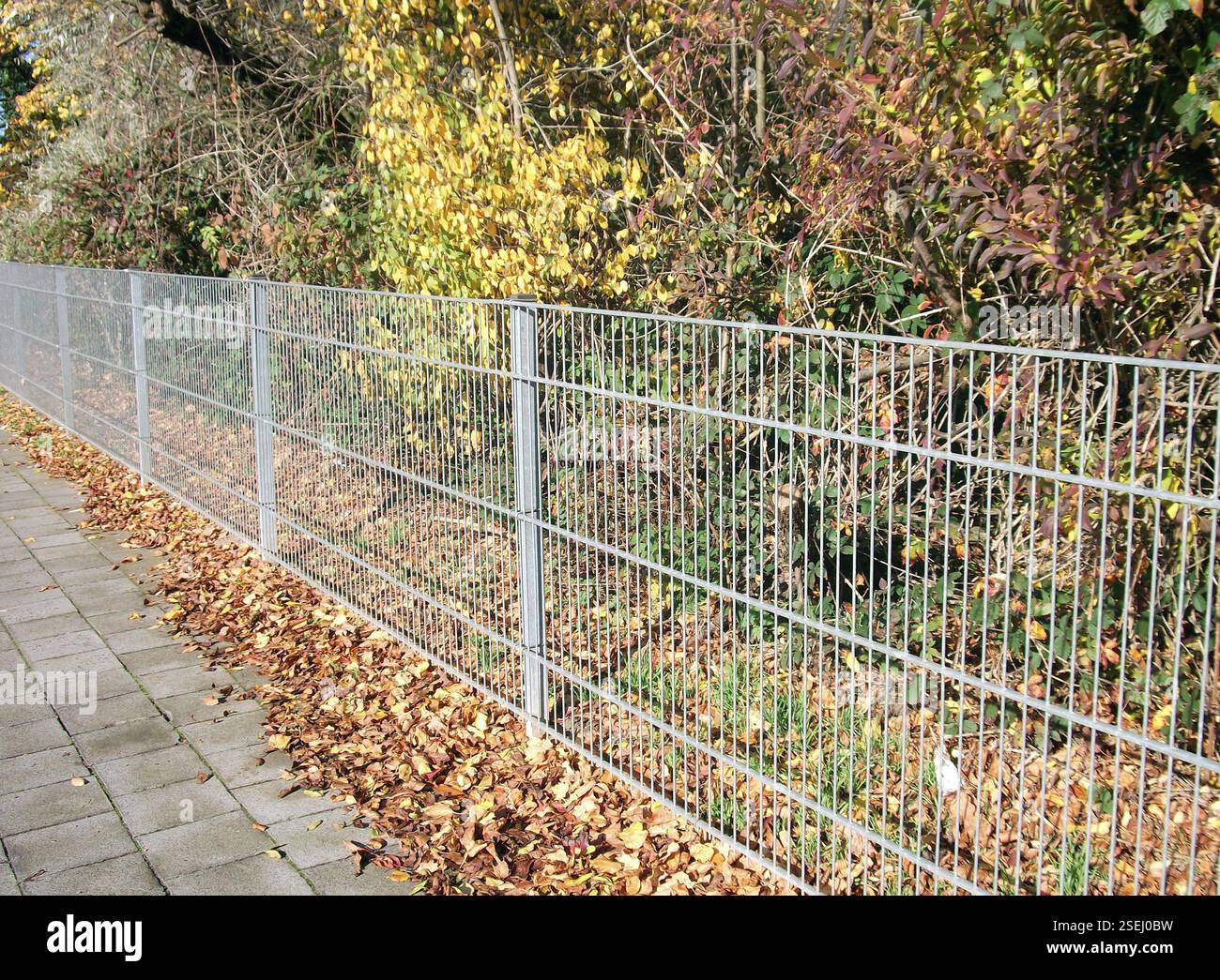 Metal fence between a footpath and the forest Stock Photo - Alamy