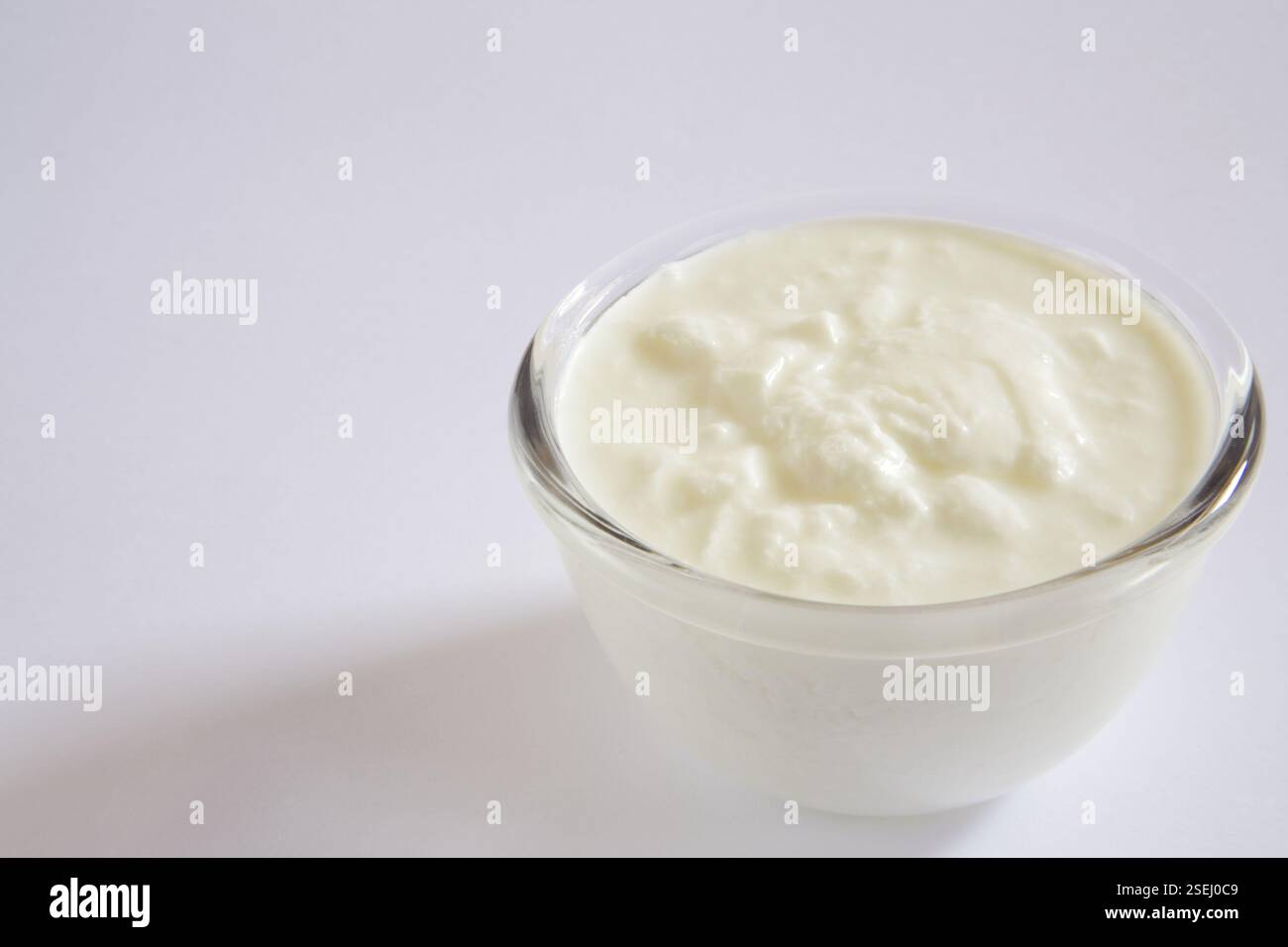 Curd yogurt dahi made from coagulated part of soured milk home or dairy ...