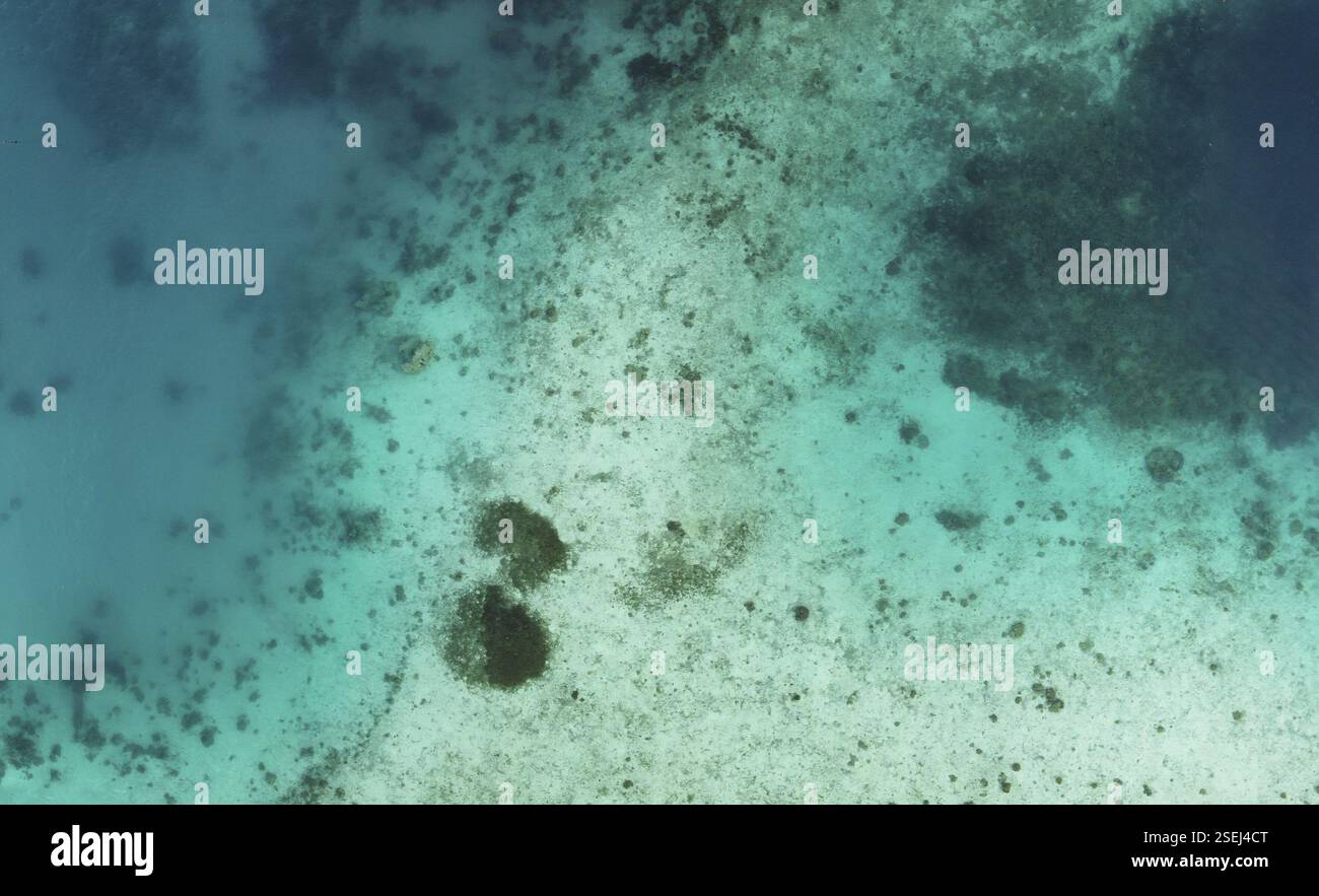 Aerial view of a colourful coral reef from above Stock Photo - Alamy