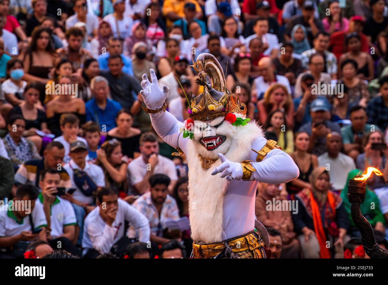 Bali, Indonesia - November 29, 2023: The sacred white monkey Hanuman ...