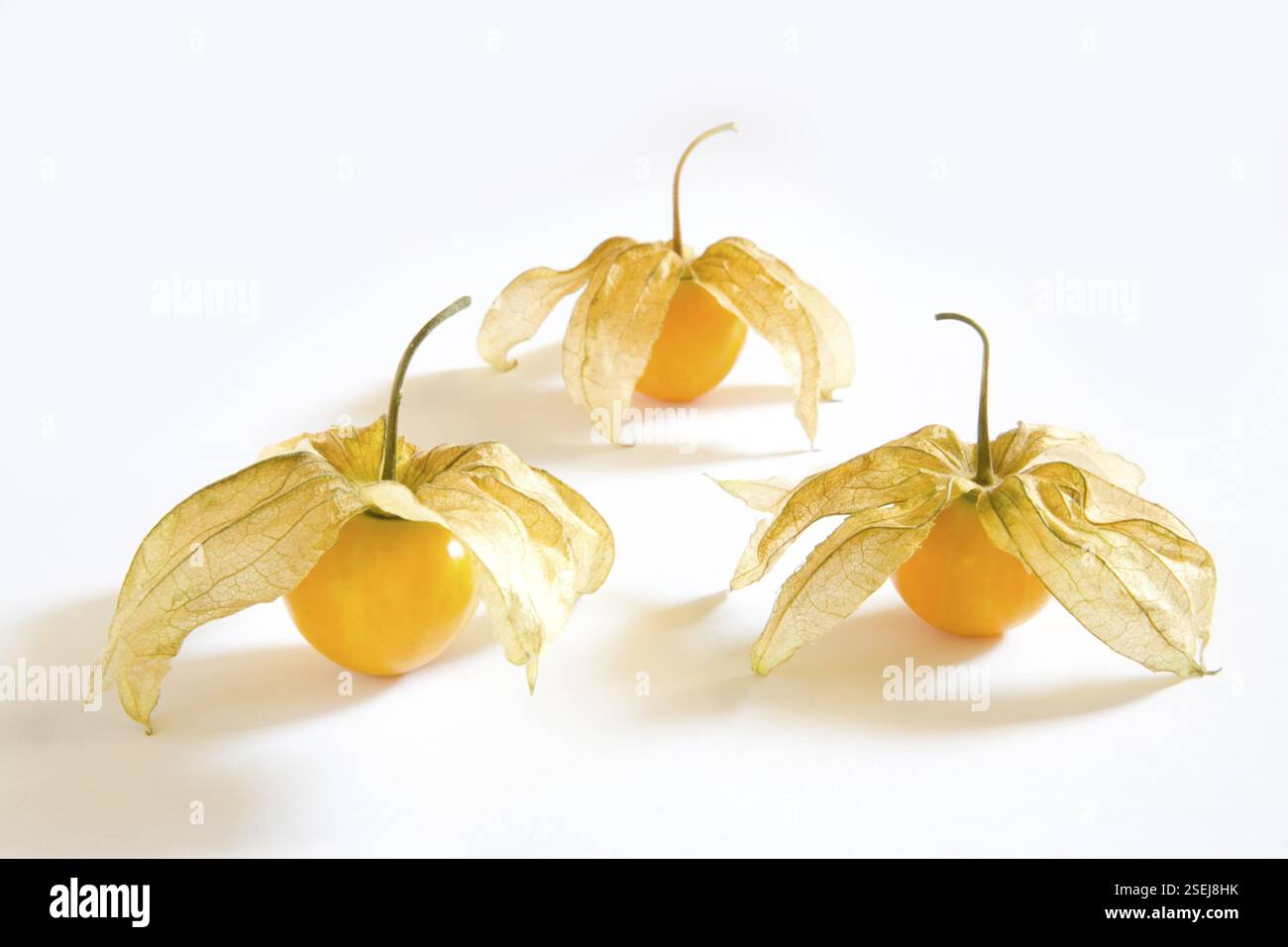 Fruits, Rasbhari Raspberry with leaves on white background Stock Photo ...