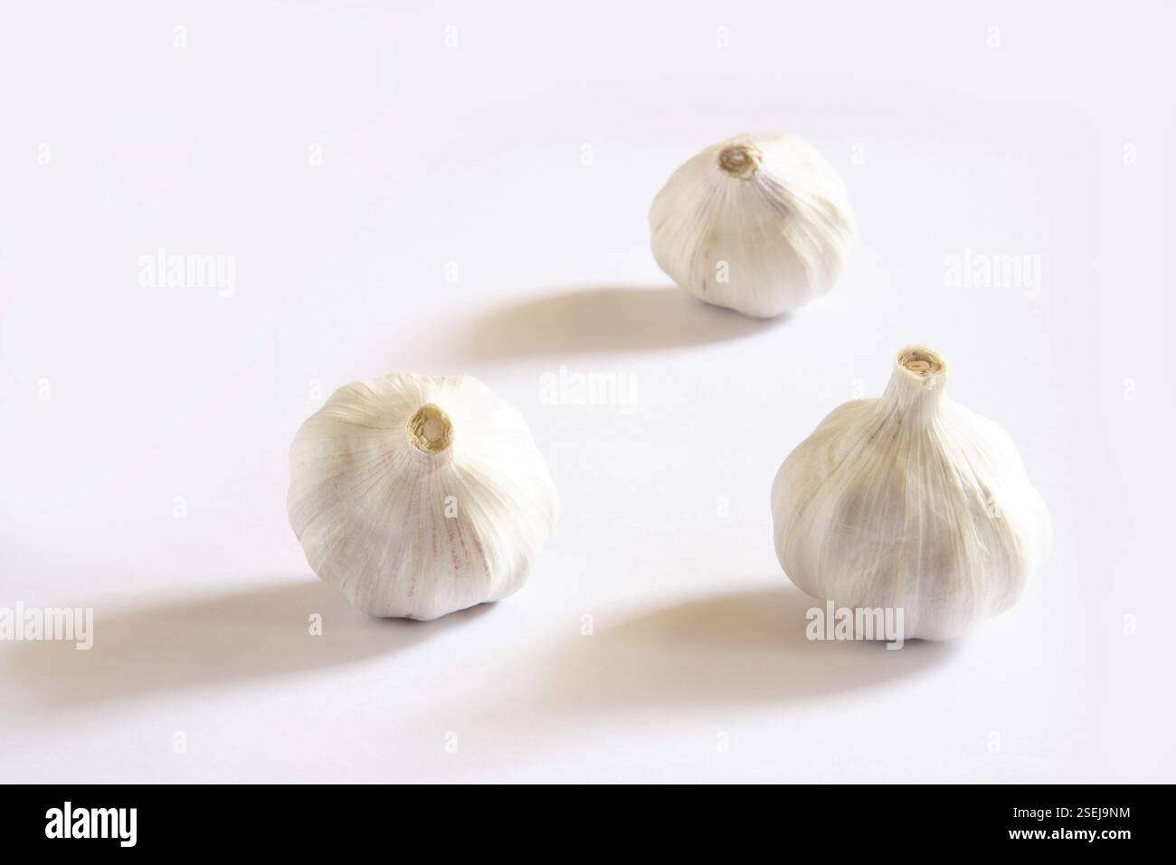 Indian spice, Garlic bulbs Lahsun Allium sativum on white background ...