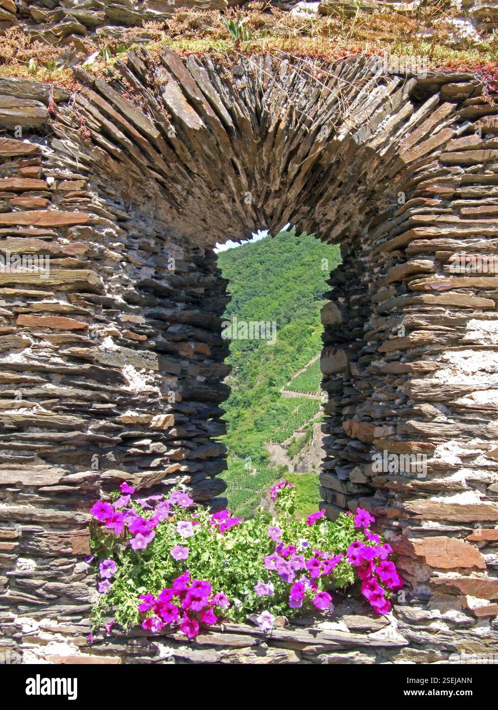 Beilstein, Moselle, wall of the Metternich castle ruins, slate, window ...