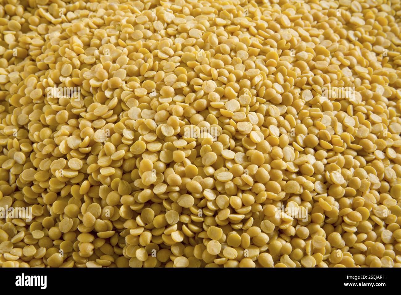 Pulses, split yellow lentils toor arhar dal lens culinaris Stock Photo ...