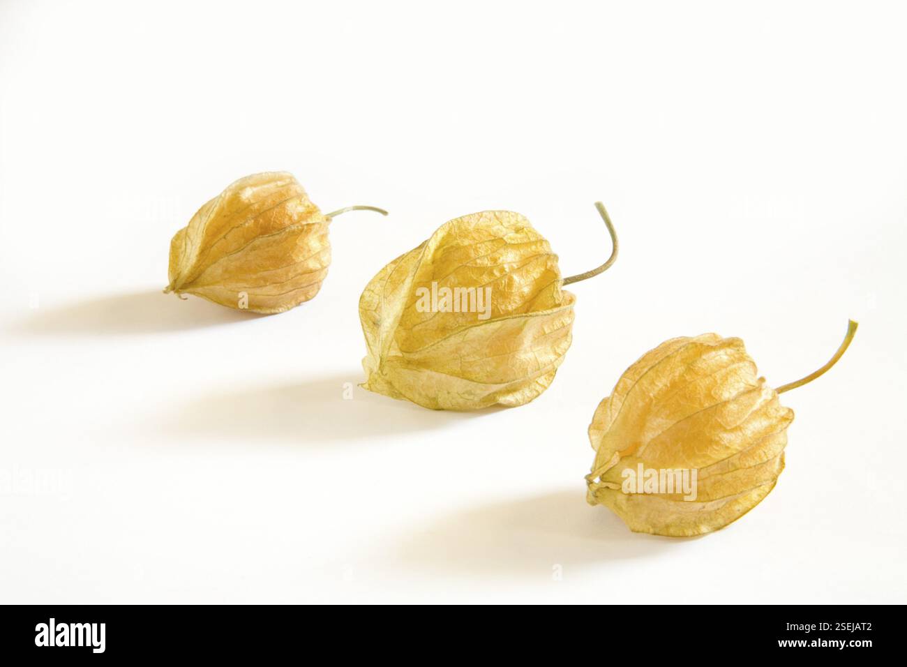 Fruits, Rasbhari Raspberry covered in leaves on white background Stock ...