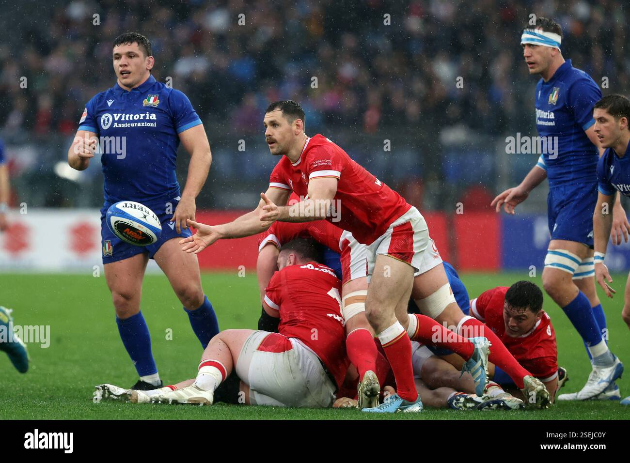 Rome, Italy 08.02.2025: Tomos Williams of Wales seen in action during ...
