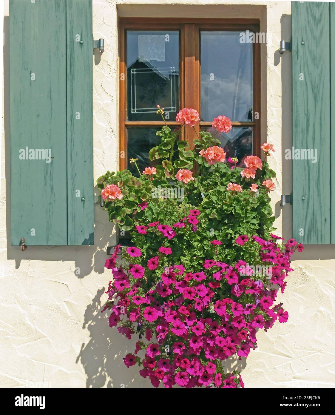 Windows open shutters plants hi-res stock photography and images - Alamy