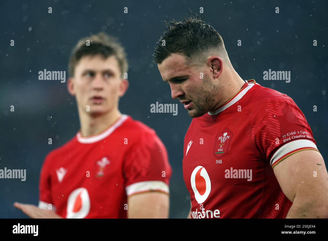 Rome, Italy 08.02.2025: James Botham of Wales disappointment at end of ...
