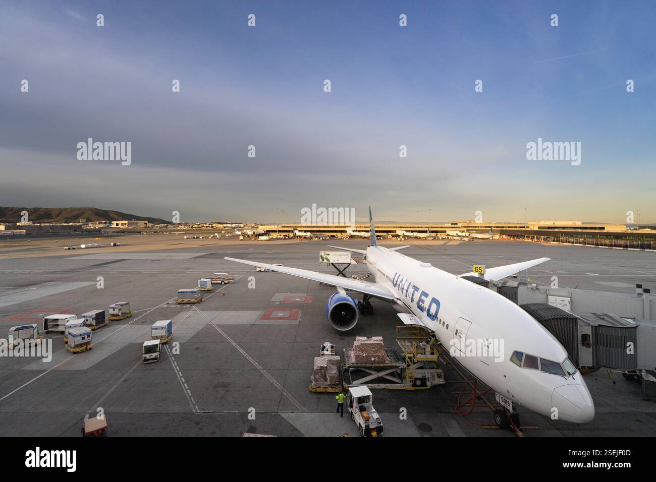 United Airlines plane being loaded with cargo. Ground crew unloading ...