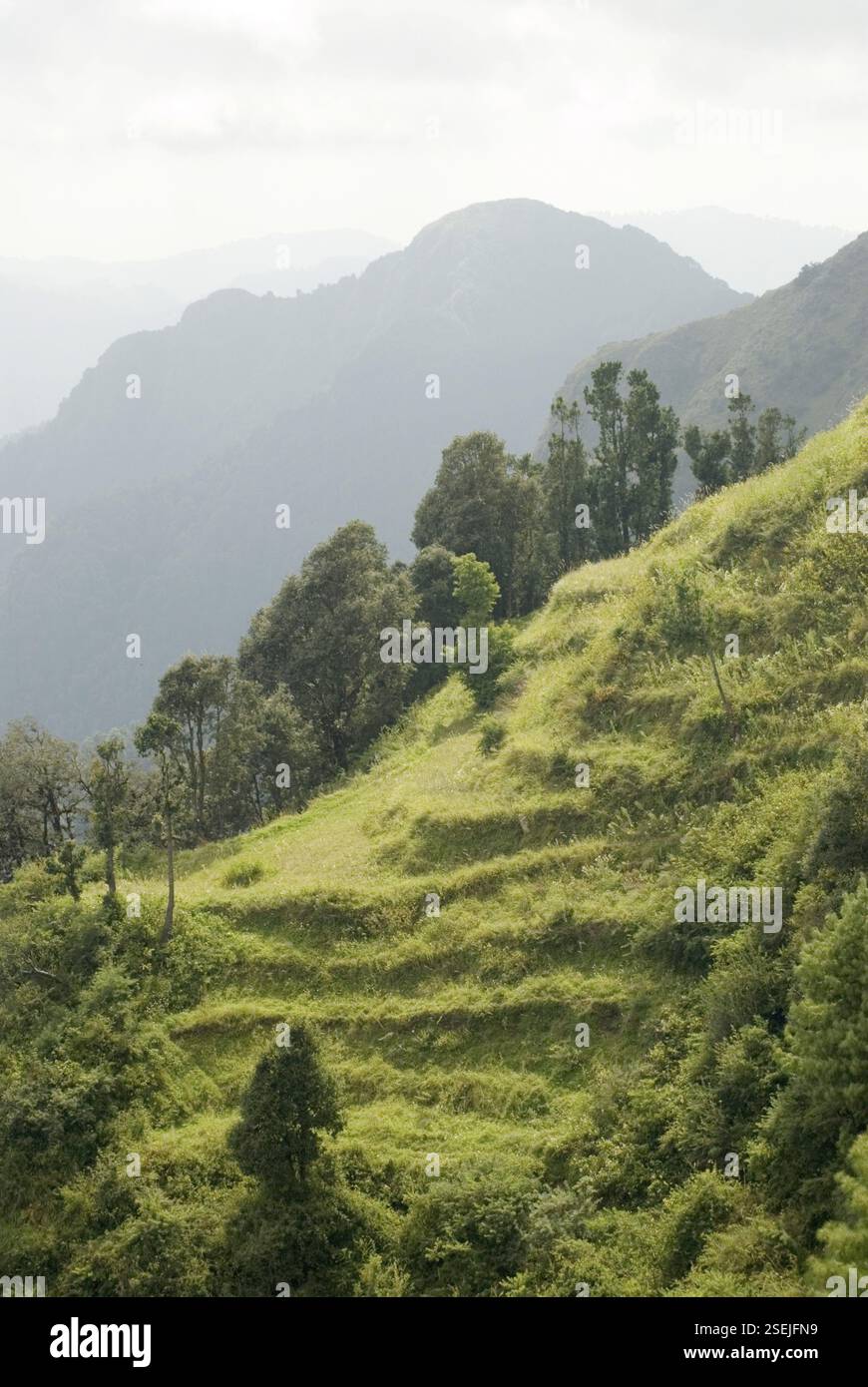 Kaddukhal hi-res stock photography and images - Alamy