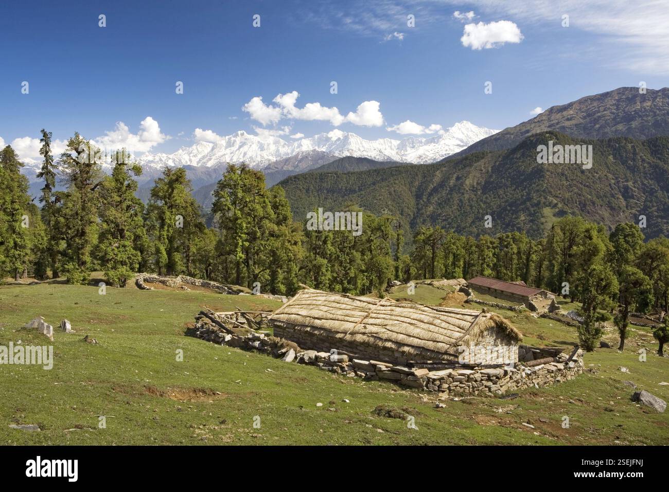 Peaks of Garhwal Himalayas seen from Chopta, Uttaranchal, India, Asia ...