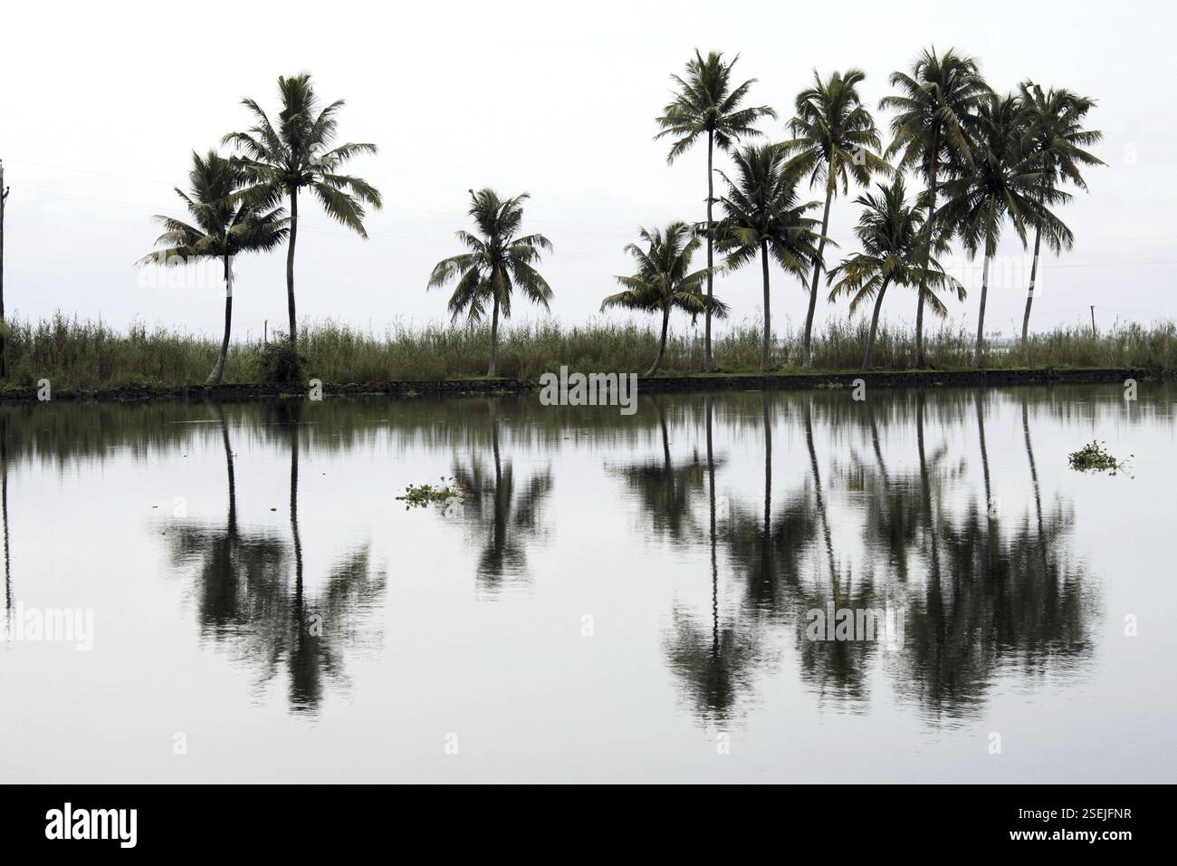 Waterway, Alappuzha Kottayam, Kerala, India, Asia Stock Photo - Alamy