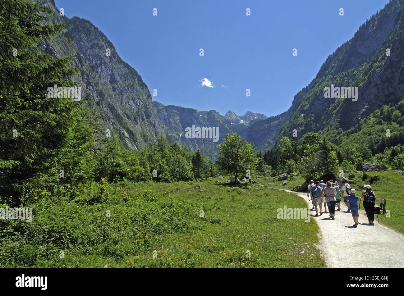 Bavaria, Watzmann group, trail, hiking group Stock Photo - Alamy