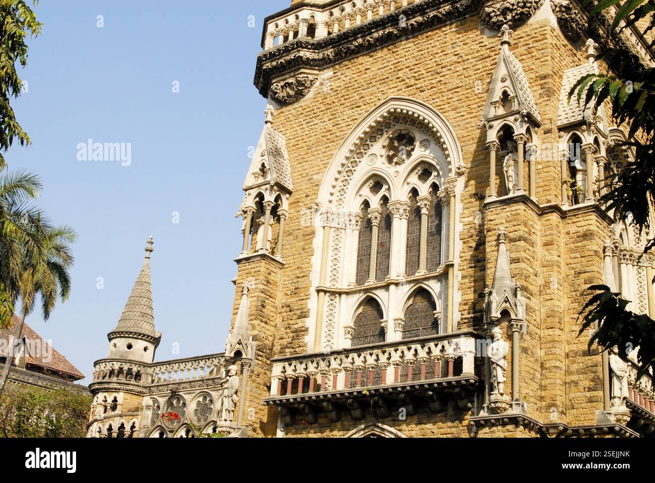 Richly decorated windows of Rajabai tower clock tower University of ...