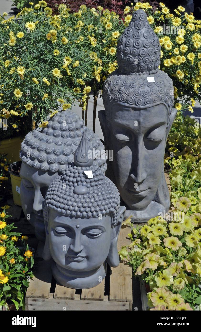 Sale of clay heads Stock Photo - Alamy