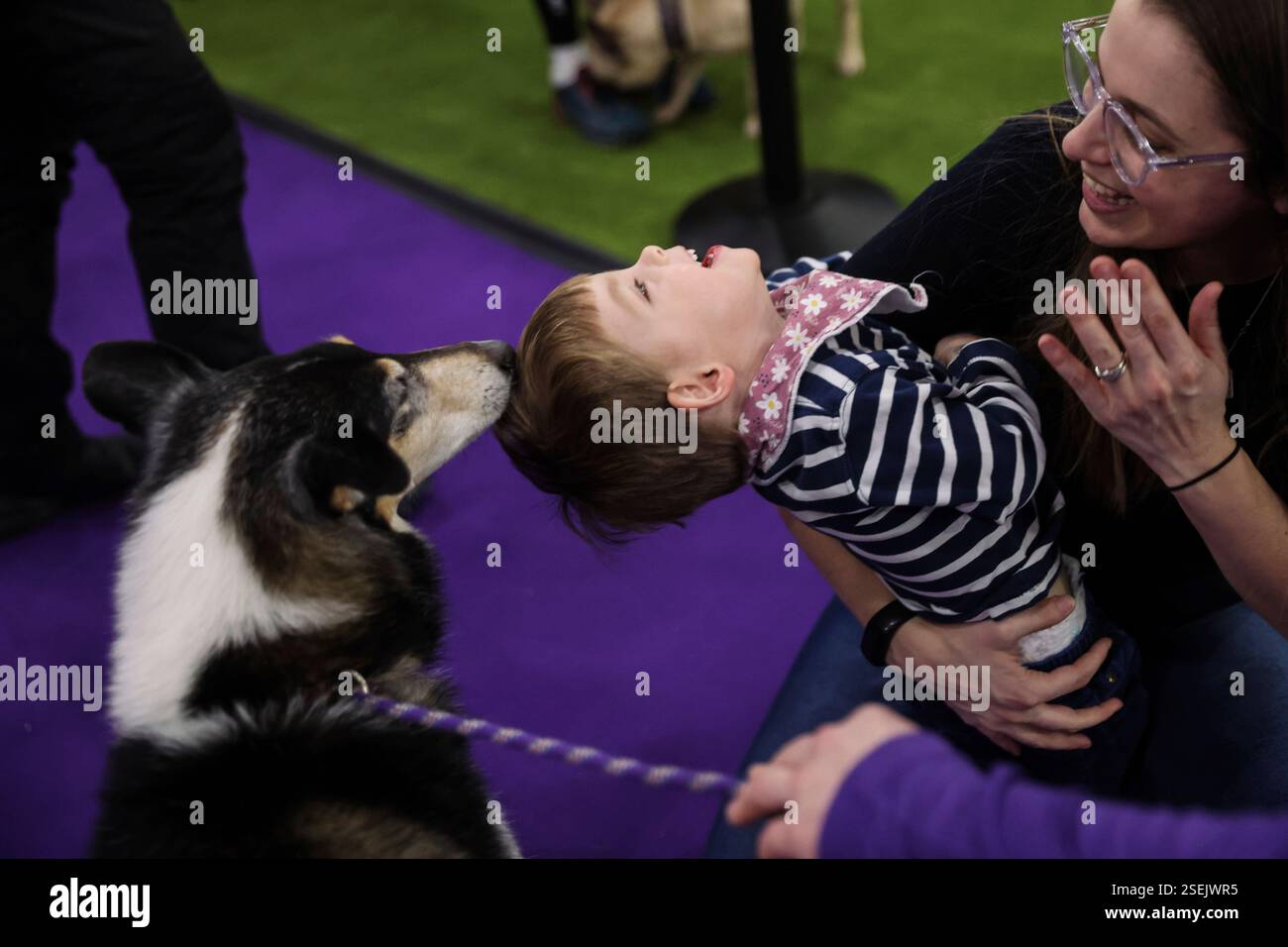 Nico Hutkin, center, reacts after feeding a dog during the 149th ...