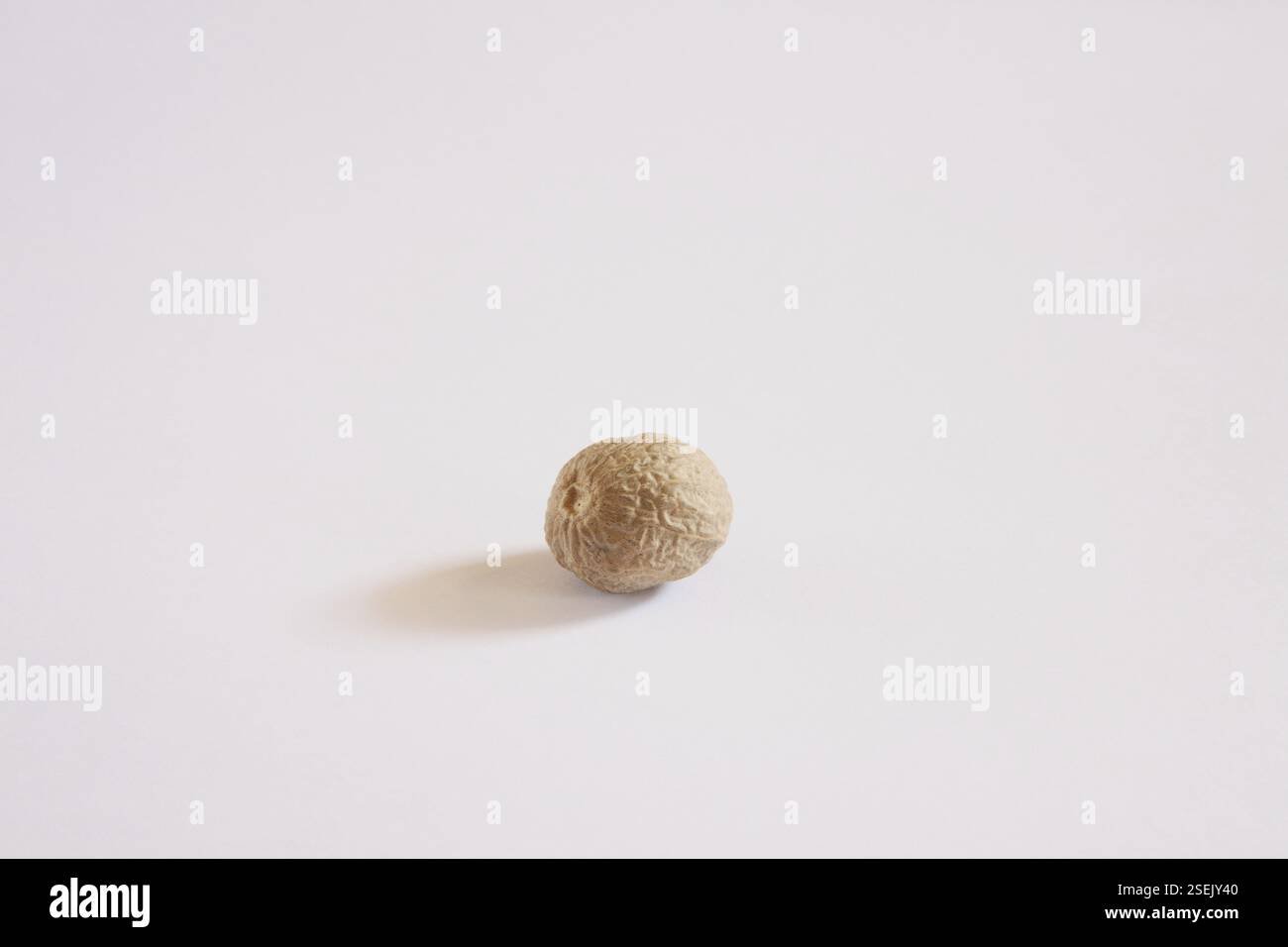 Indian spice, Nutmeg Jaiphal Myristica fragrance on white background ...