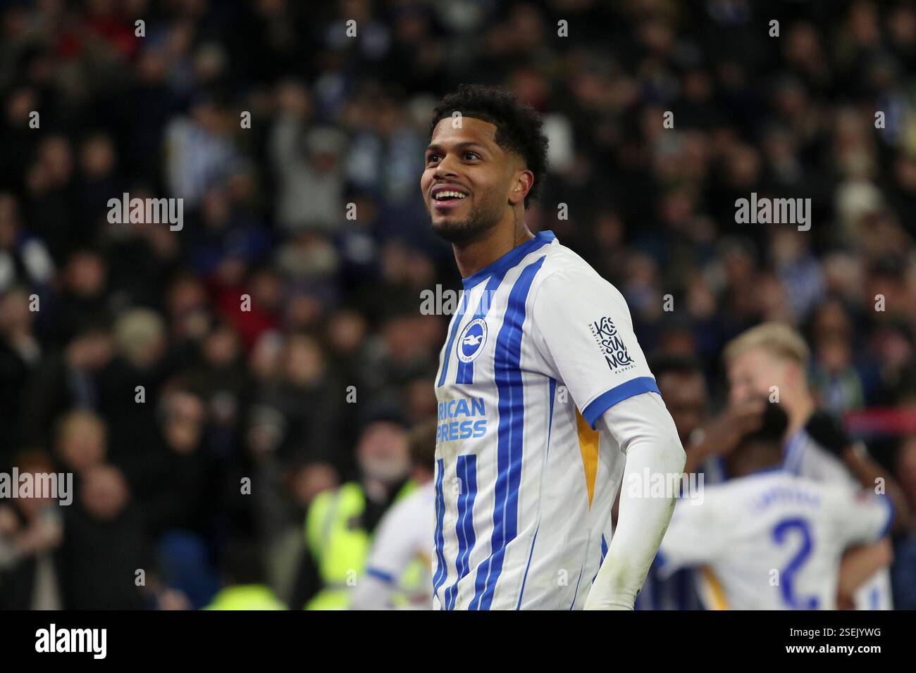 Brighton & Hove, England, United Kingdom on 8 February 2025. Georginio ...