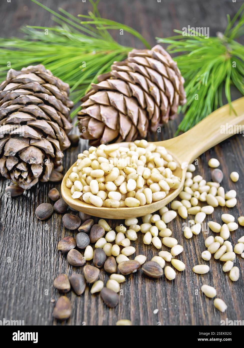 Peeled kernels of cedar nuts in a spoon, pine cones, green branches and ...