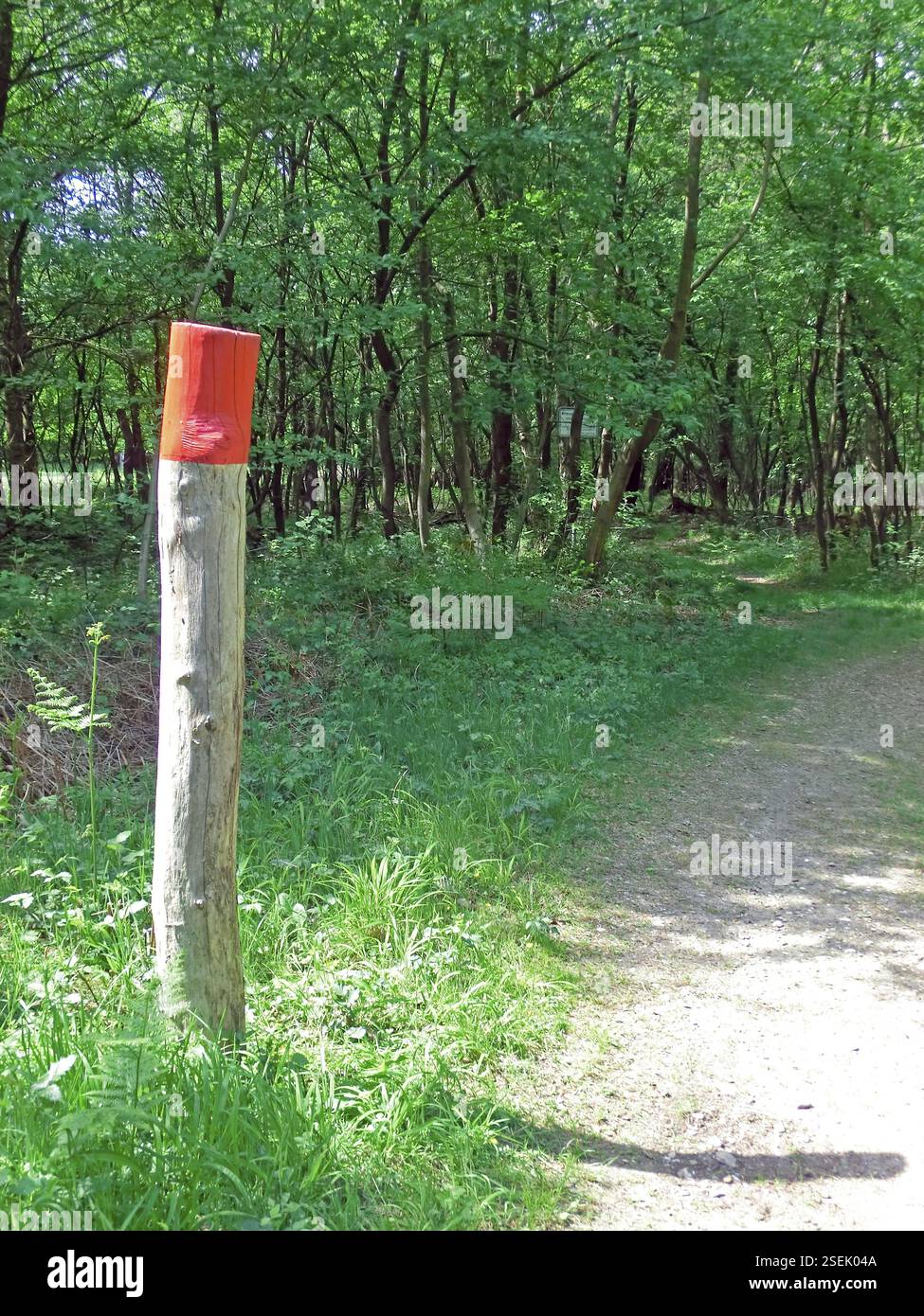 Cologne, Troisdorf, Wahner Heide, path, boundary post Stock Photo - Alamy