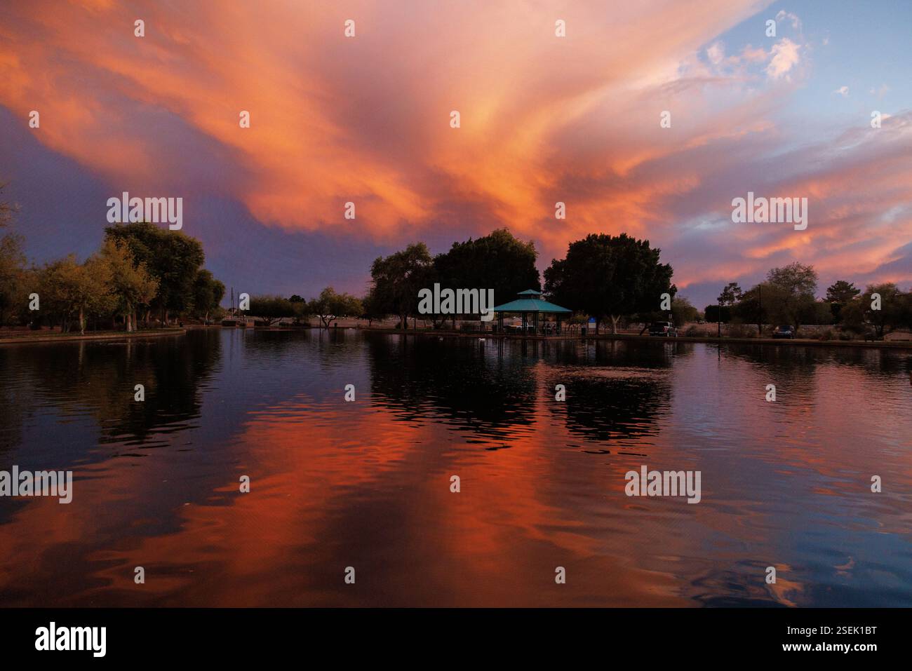 West wetlands flora hi-res stock photography and images - Alamy