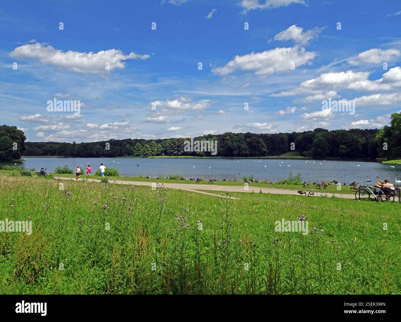 Cologne, Decksteiner Weiher Stock Photo - Alamy