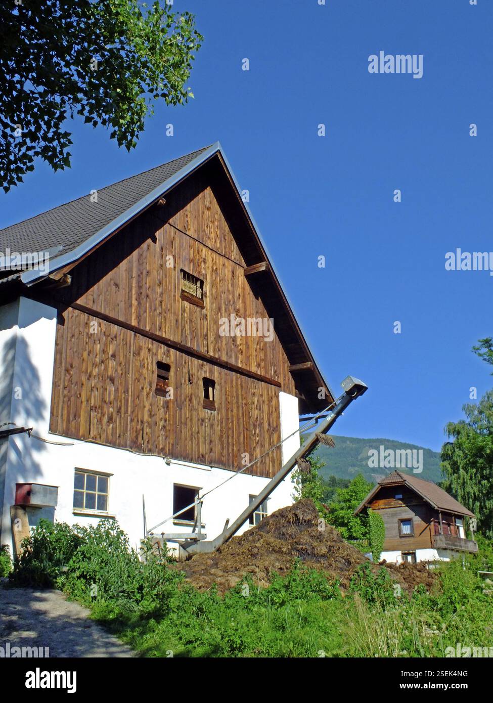 Dung piles hi-res stock photography and images - Alamy