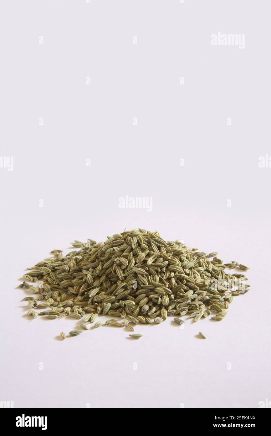Spice, Fennel seeds Saunf Foeniculum vulgare on white background Stock ...