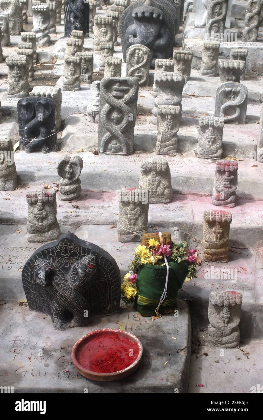 Hundreds of richly stone carved snake god offering by devotees in Ram ...