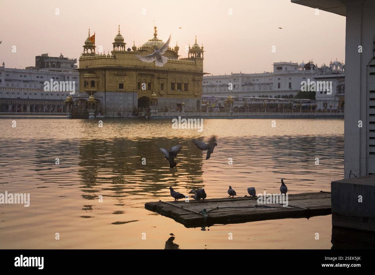 Harimandir Sahib swarn mandir or golden temple, Amritsar, Punjab, India ...