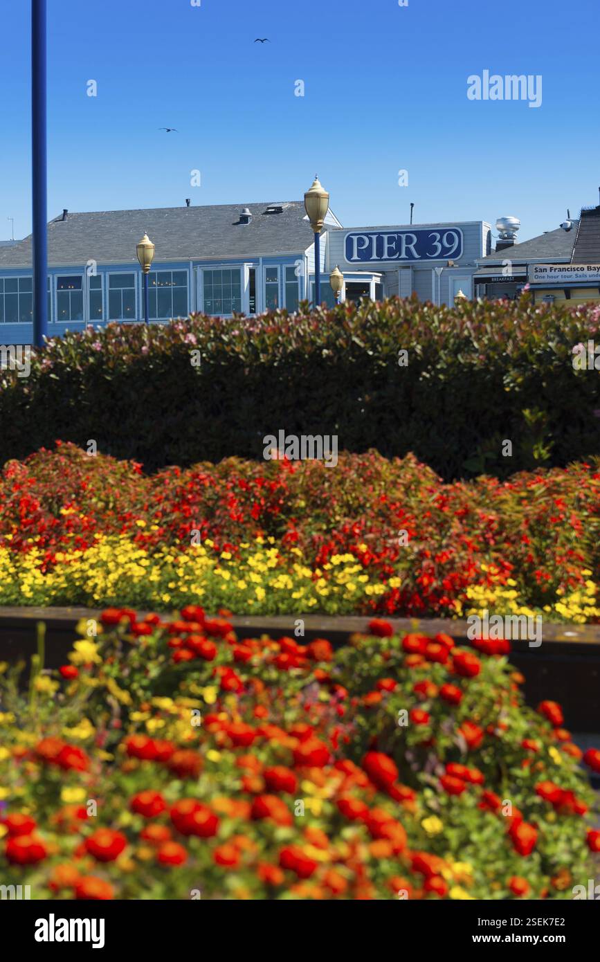 Pier 39 sign, San Francisco, San Francisco, USA, North America Stock ...