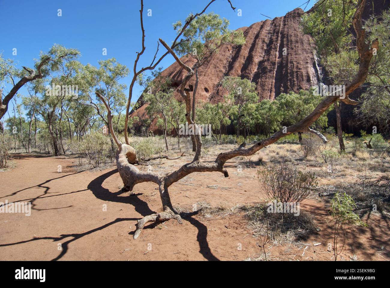 Uluru, Ayers Rock, Northern Territory, Australia, August 2009, Oceania ...