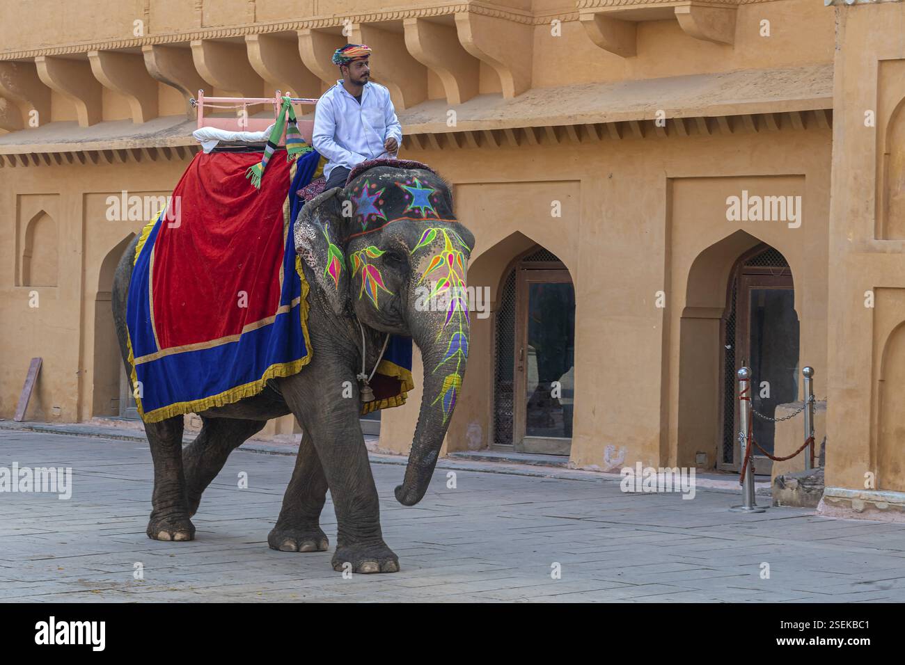 Decorative Indian elephant, Amer Fort, Jaipur, Rajasthan, India ...