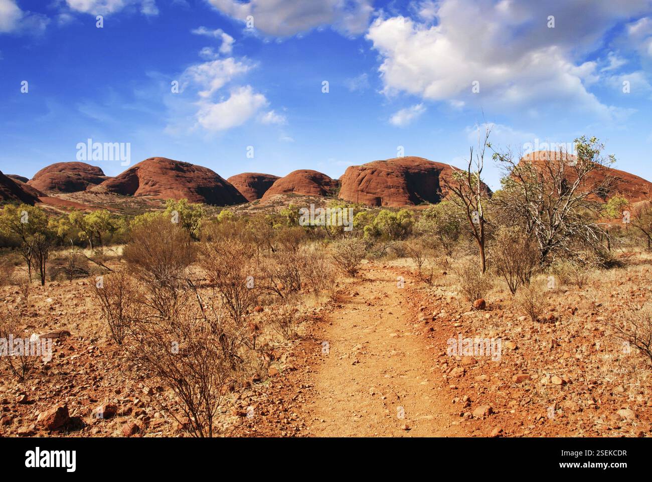 Wonderful colors and landscape of Australian Outback Stock Photo - Alamy