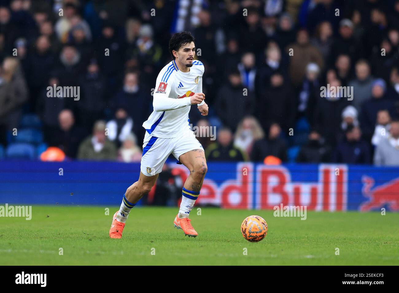 Leeds, UK. 8th Feb, 2025. Pascal Struijk of Leeds United runs with the ...